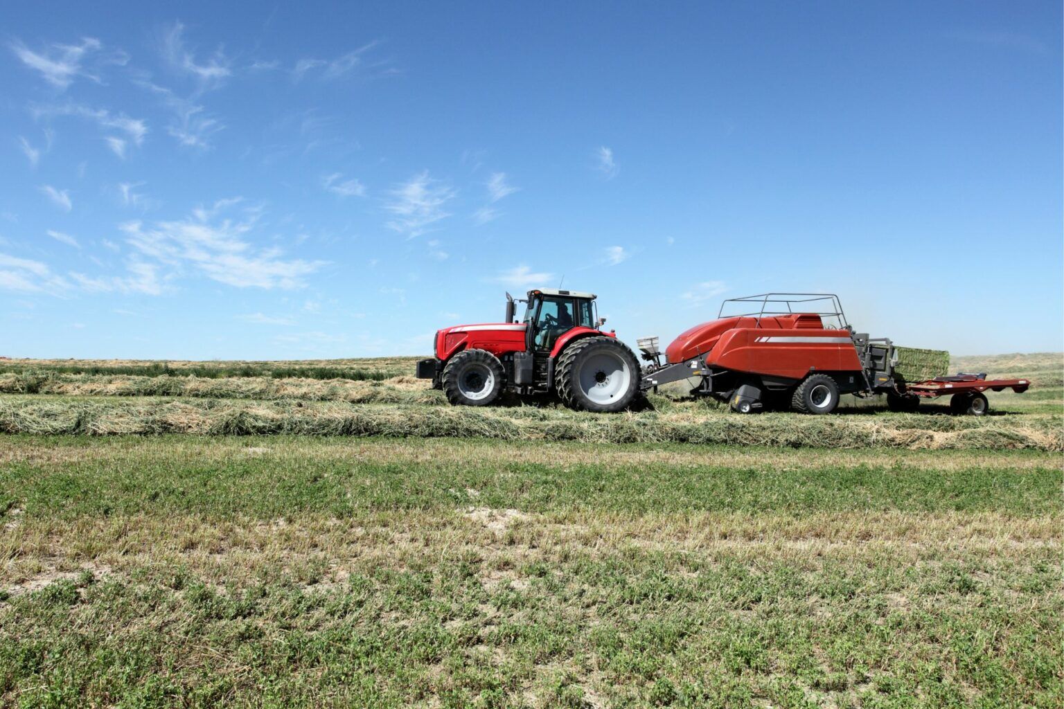 Hay Bale Facts and Figures (Sizes, Types, Costs) - Horse Rookie