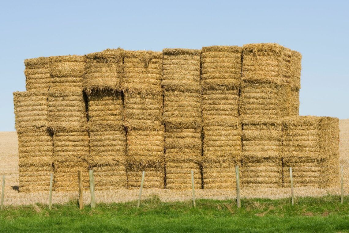 Hay Bale Facts and Figures (Sizes, Types, Costs) - Horse Rookie