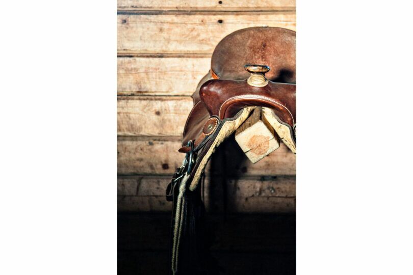 5 Best Saddle Racks for Keeping Tack in Tip-Top Shape - Horse Rookie