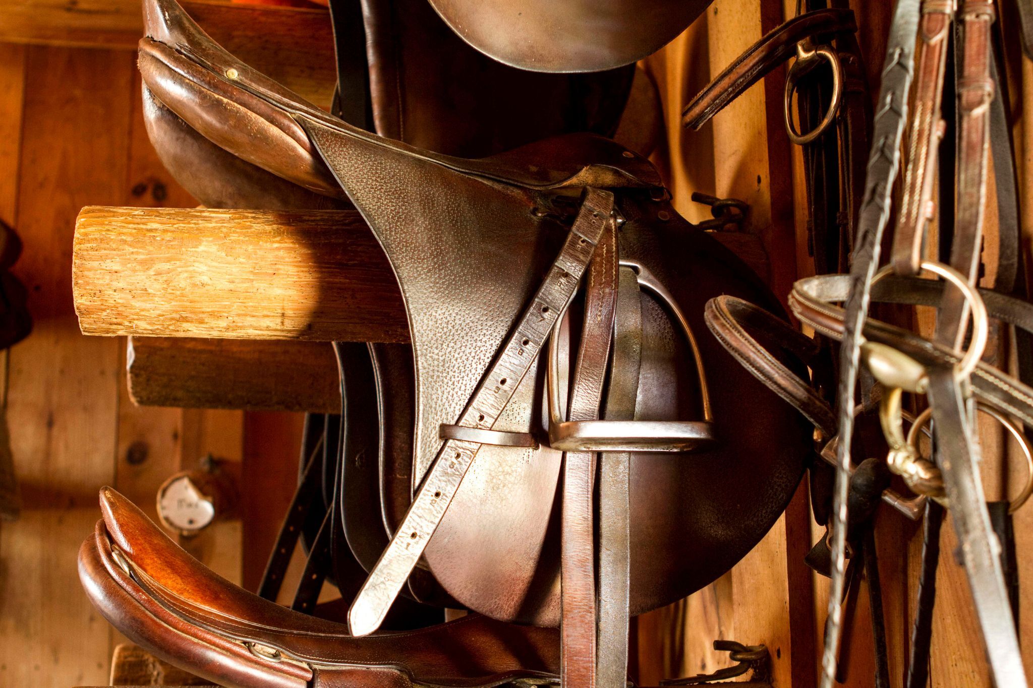 5 Best Saddle Racks for Keeping Tack in Tip-Top Shape - Horse Rookie