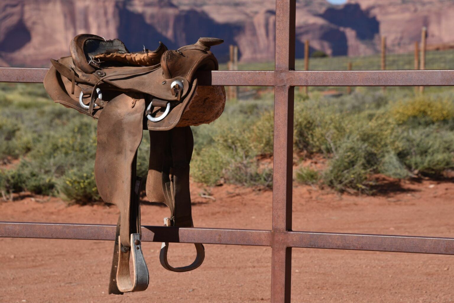 5 Best Saddle Racks for Keeping Tack in Tip-Top Shape - Horse Rookie