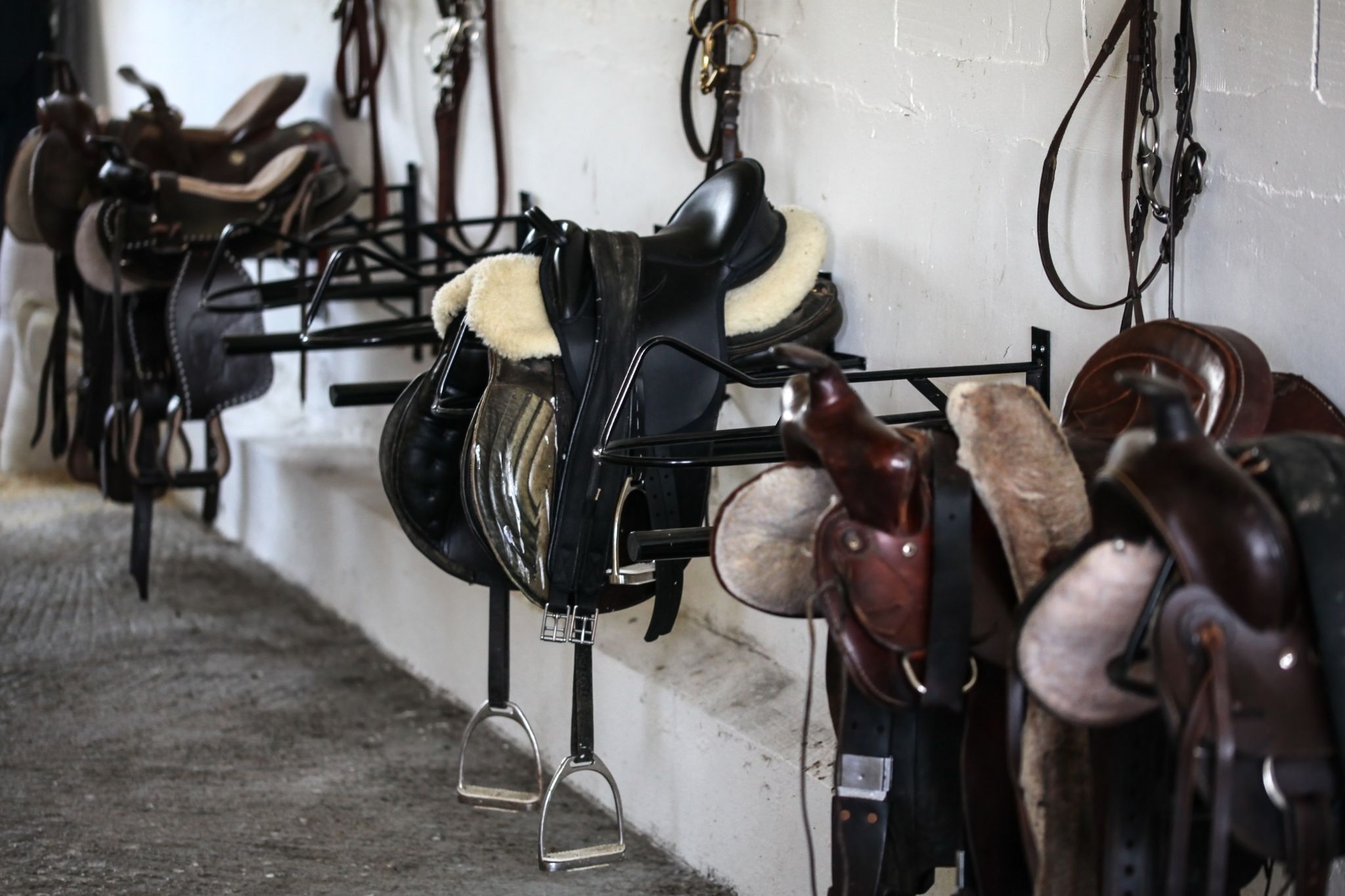 5 Best Saddle Racks for Keeping Tack in Tip-Top Shape - Horse Rookie