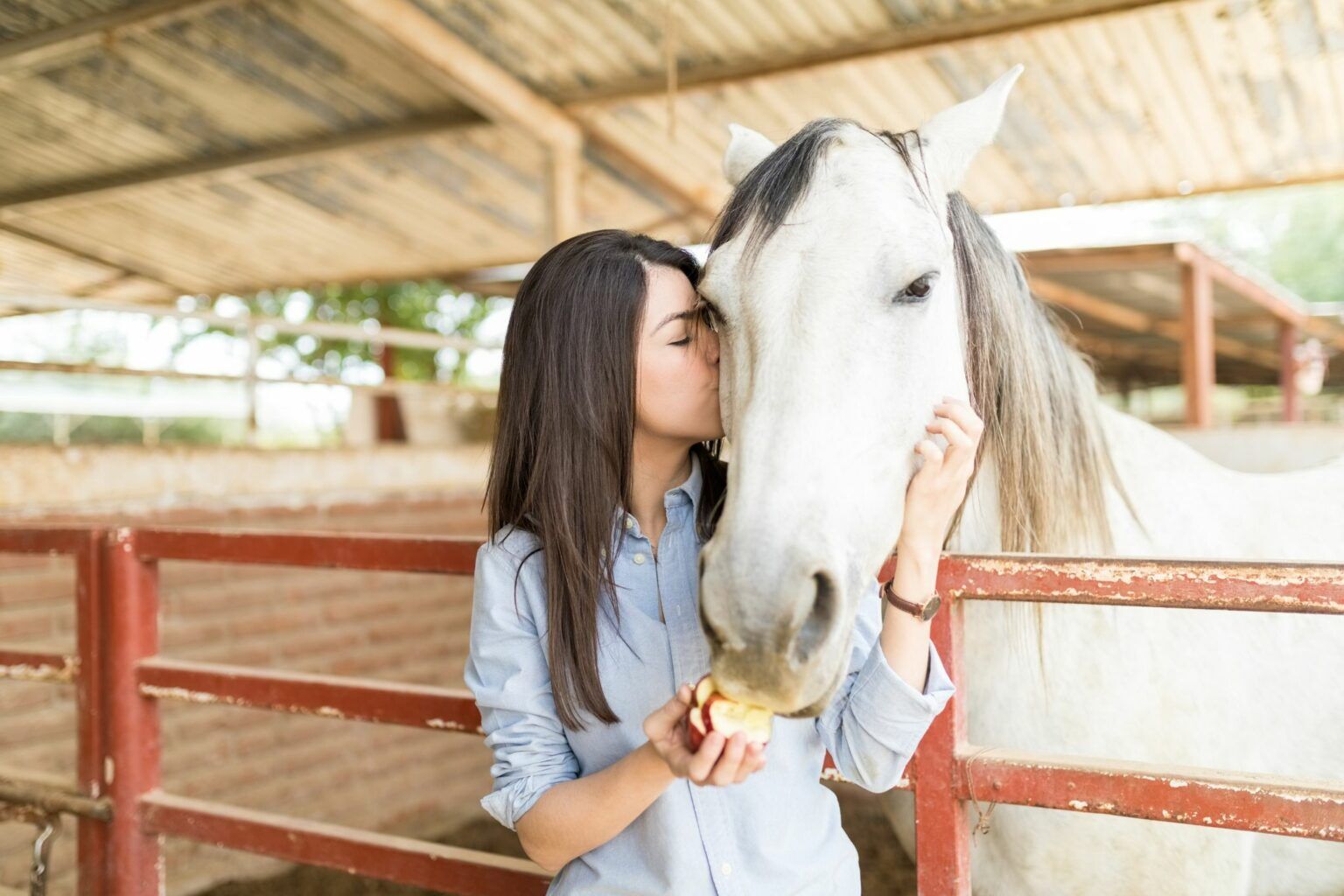 Equine Einstein: Understanding Horse Intelligence - Horse Rookie