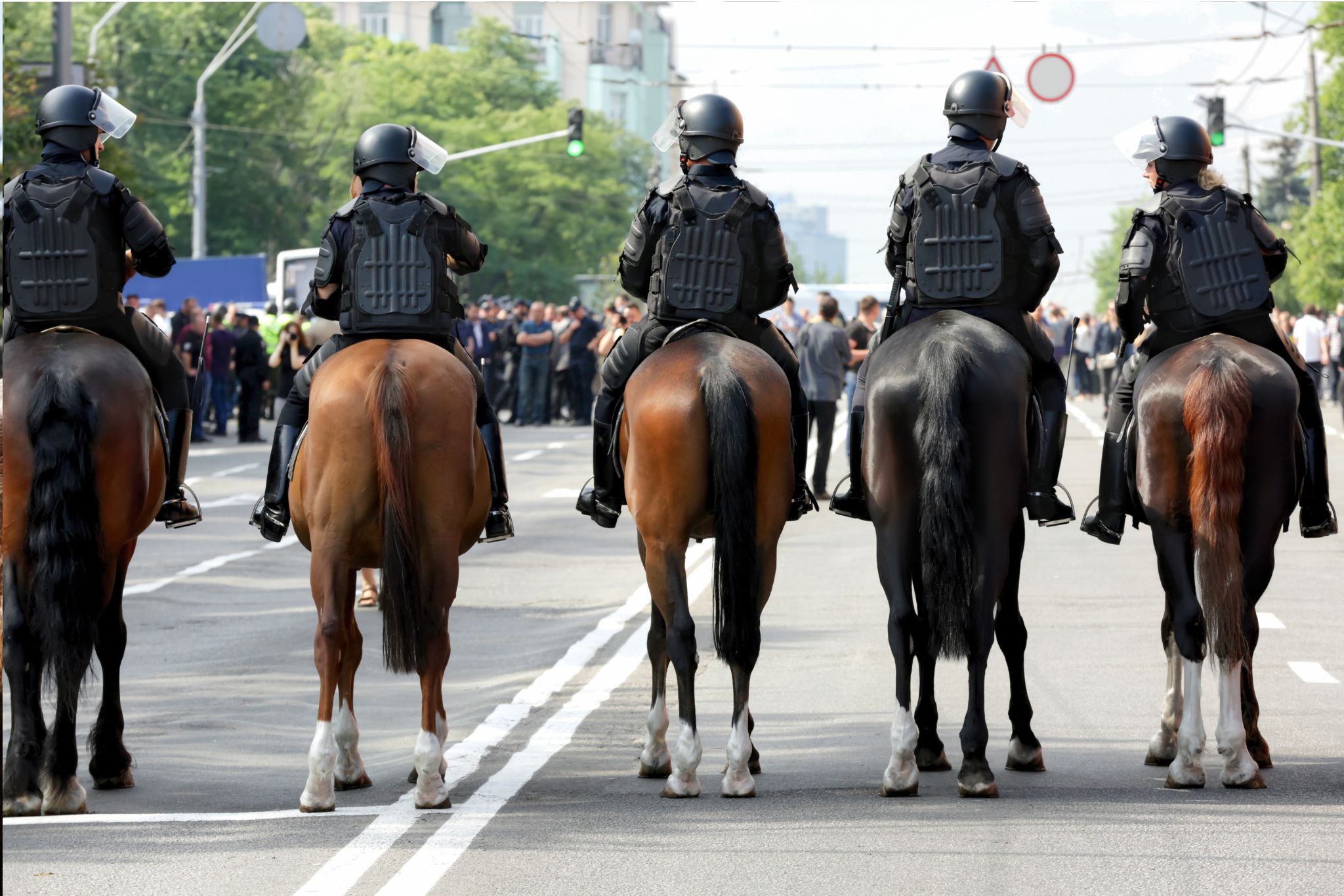 Behind the Shield: The Police Horse Past & Present - Horse Rookie