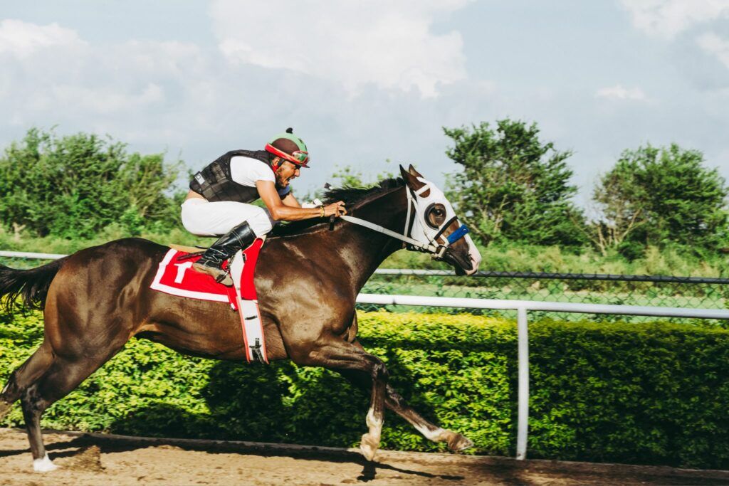 The Equine Need for Speed: Fastest Horses Revealed - Horse Rookie