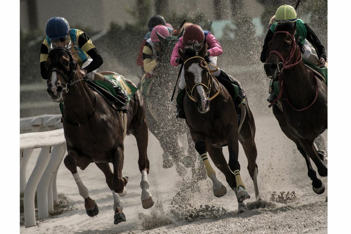 The Equine Need for Speed: Fastest Horses Revealed - Horse Rookie