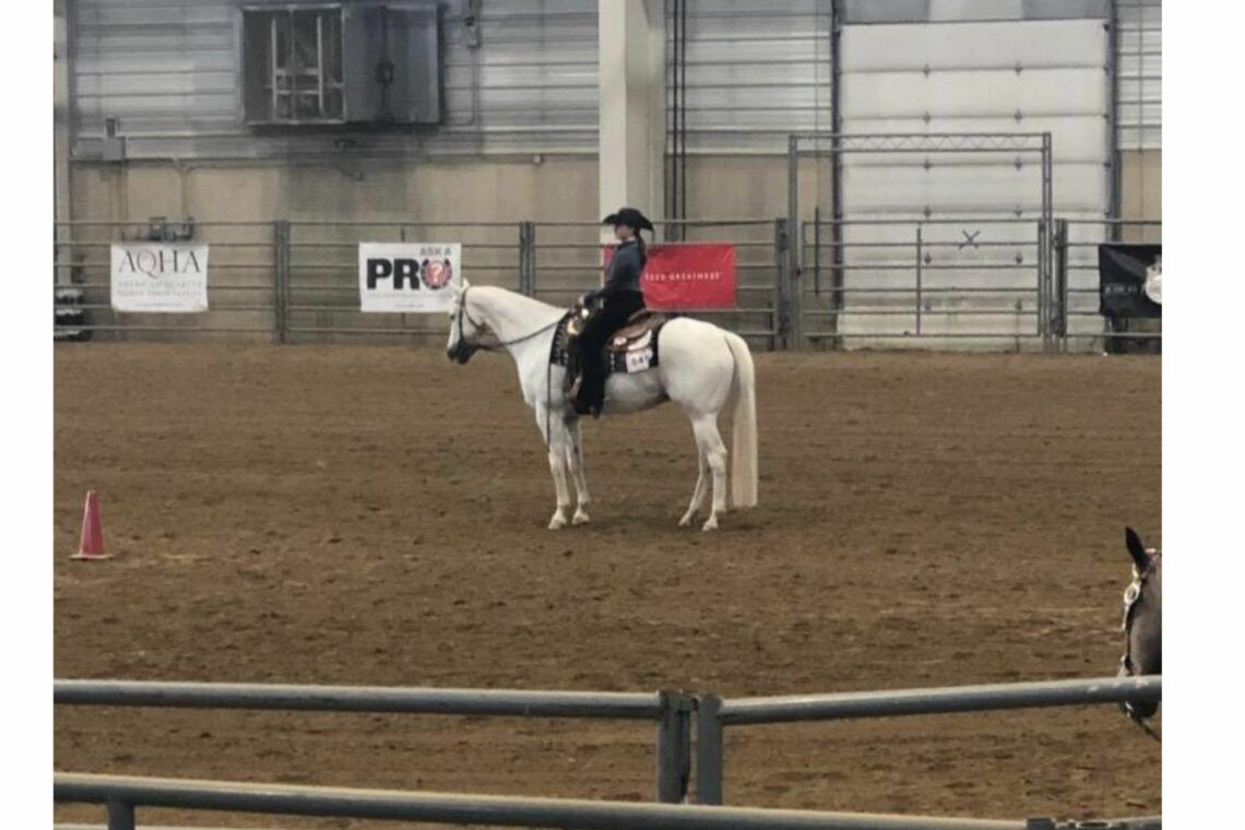 6 Best Cowboy Chaps to Perform & Protect Western Riders - Horse Rookie