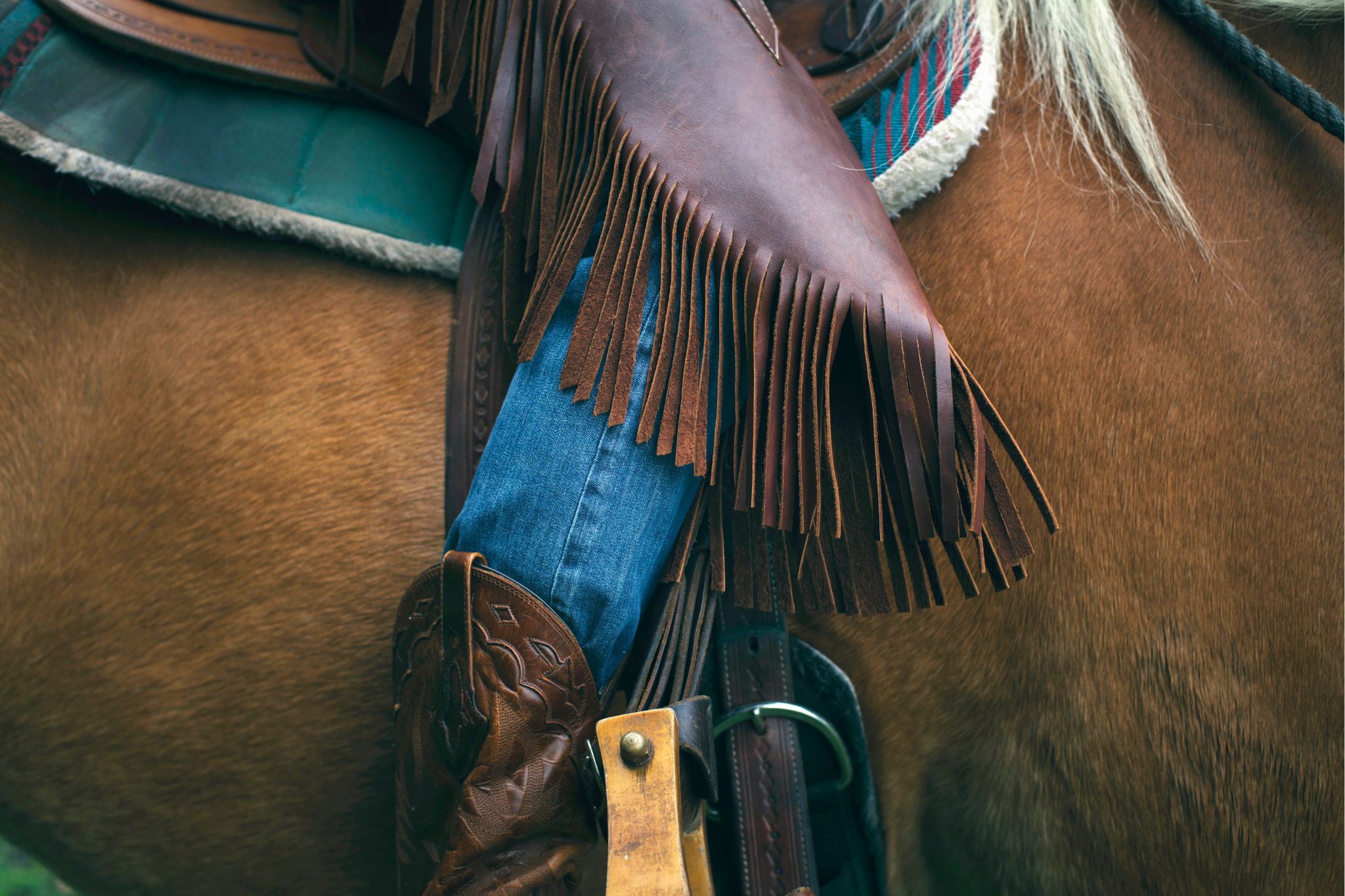 6 Best Cowboy Chaps to Perform & Protect Western Riders - Horse Rookie