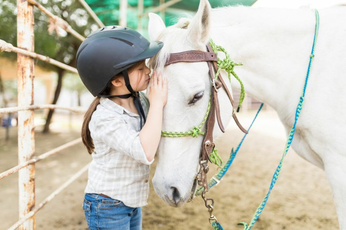 A Rookie Guide to Becoming an Equine Influencer - Horse Rookie