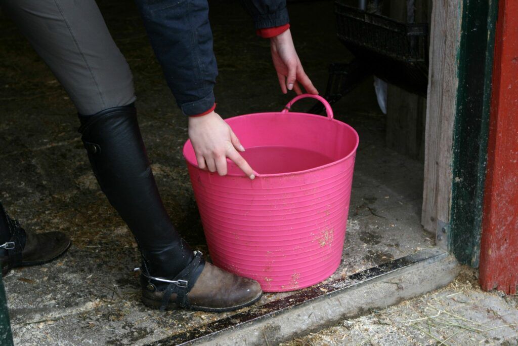 3 Best Water Buckets for Horses (Stall, Heated, Travel) - Horse Rookie
