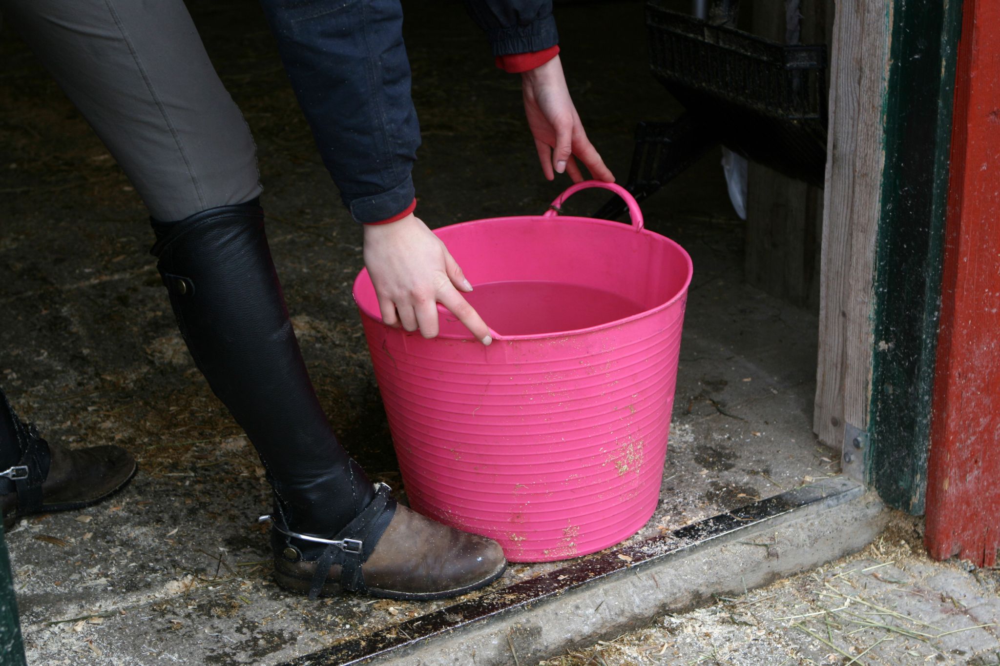 3 Best Water Buckets for Horses (Stall, Heated, Travel) - Horse Rookie