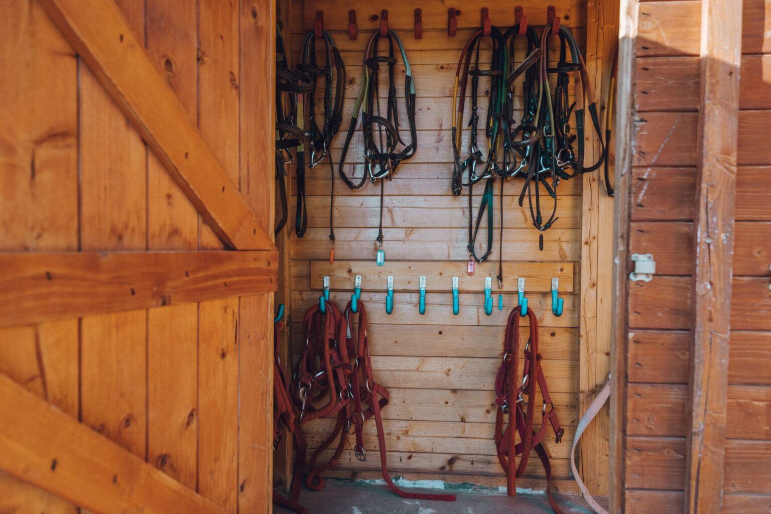 5 Best Horse Bridle Racks to Keep Tack Tidy - Horse Rookie