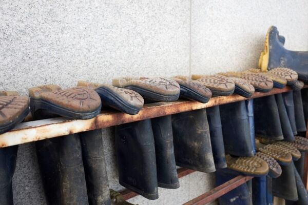 5 Best Barn-Tough Boots for Working with Horses - Horse Rookie