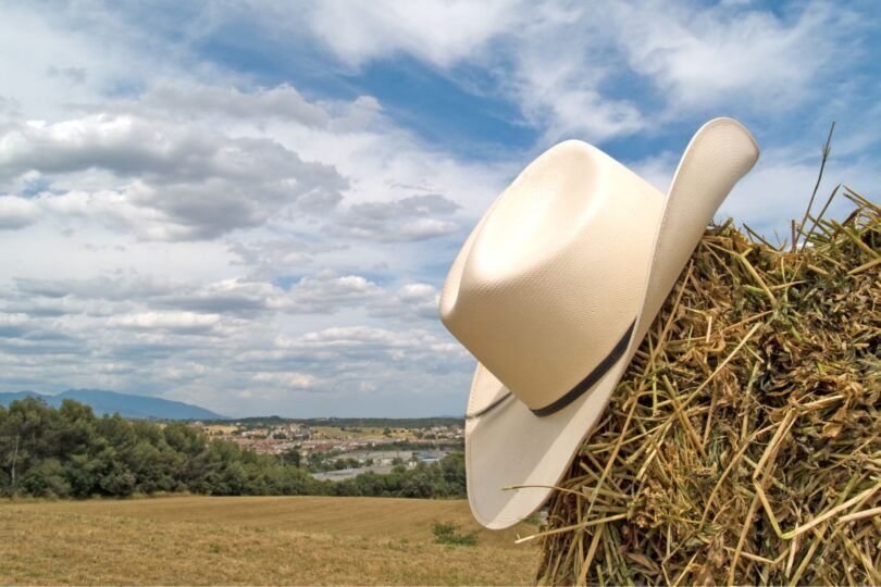 10 Best Straw Cowboy Hats That Feel (and Look) Cool - Horse Rookie