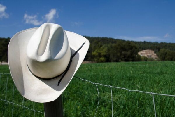 Cowboy at Heart? Look the Part! (Cowboy Hat Materials) - Horse Rookie