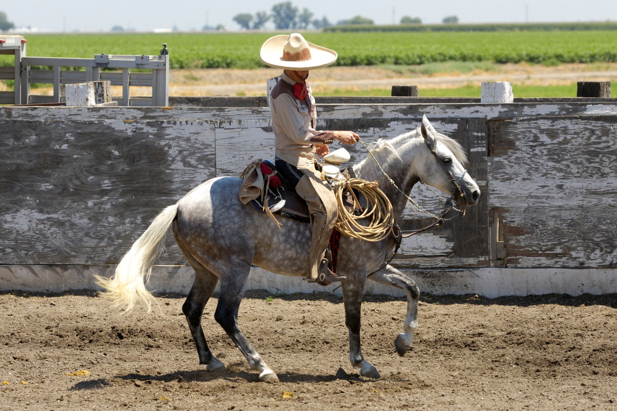Wear History, Make History: The Iconic Cowboy Hat - Horse Rookie
