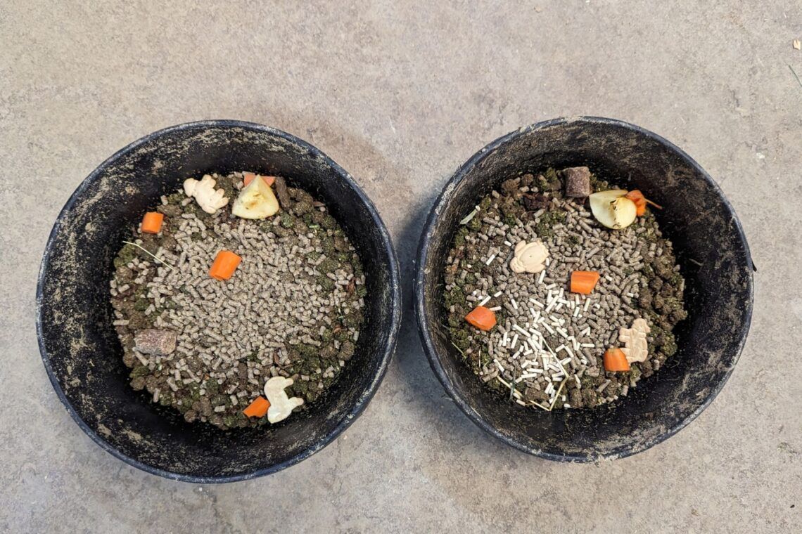 Horse Calming Supplements 101: Tips for Low-Stress Strides - Horse Rookie