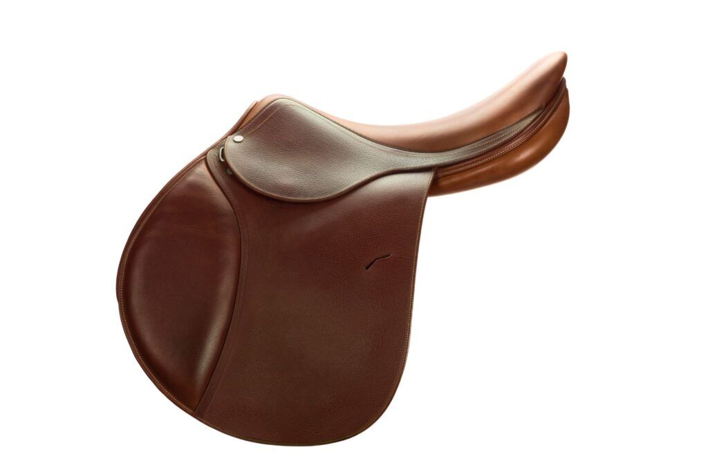 17 Different Types of Saddles (When to Use Which One) - Horse Rookie