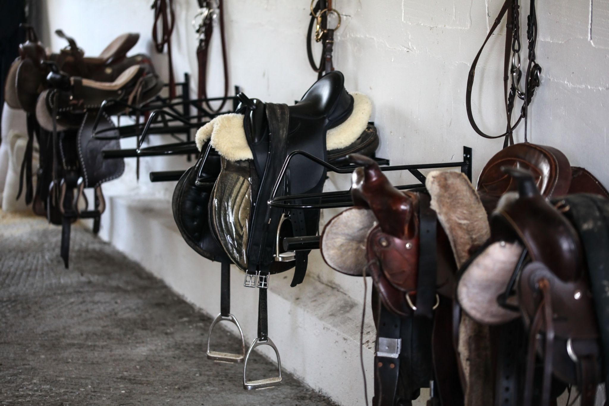 17 Different Types of Saddles (When to Use Which One) - Horse Rookie