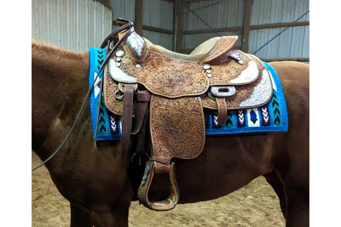 17 Different Types of Saddles (When to Use Which One) - Horse Rookie