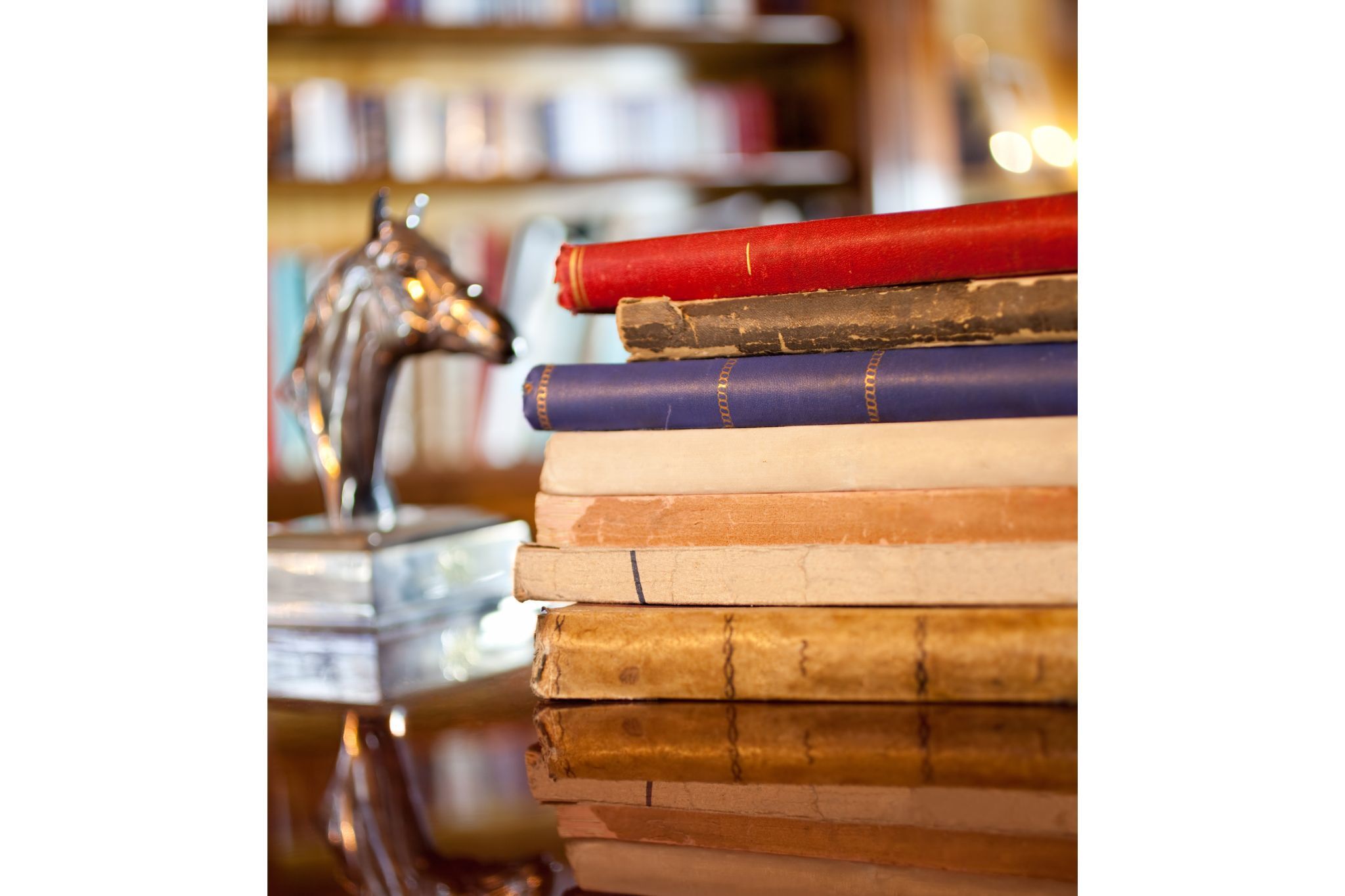 25 Best Books for Horse Training with Intention - Horse Rookie