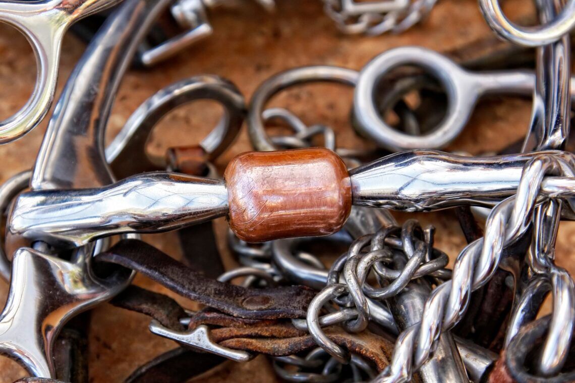 Cricket Bits & Why (Many) Horses Love Them - Horse Rookie