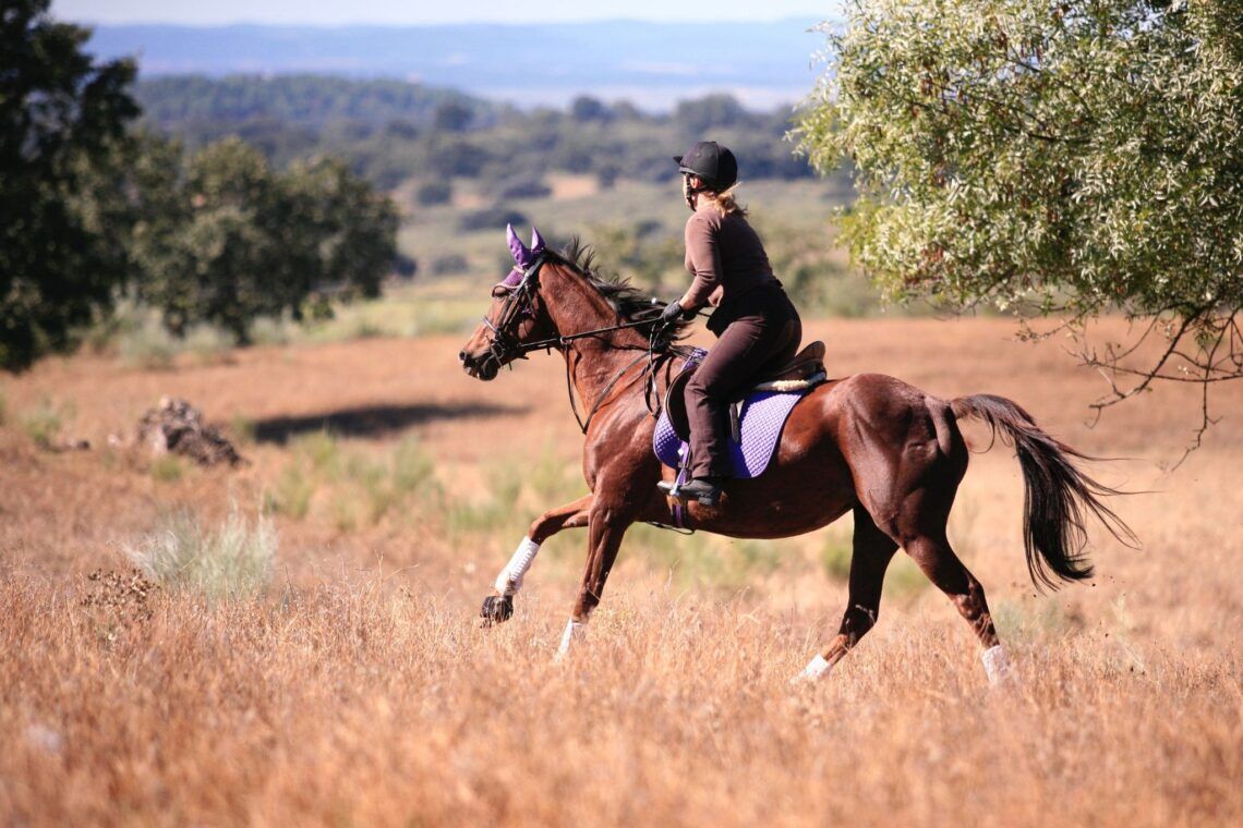 Get Pumped! Horse Conditioning Just Got Easier - Horse Rookie