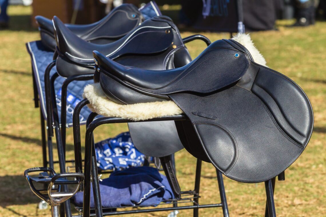 A Blue Ribbon Ride: Winning in My Wintec AP Saddle - Horse Rookie
