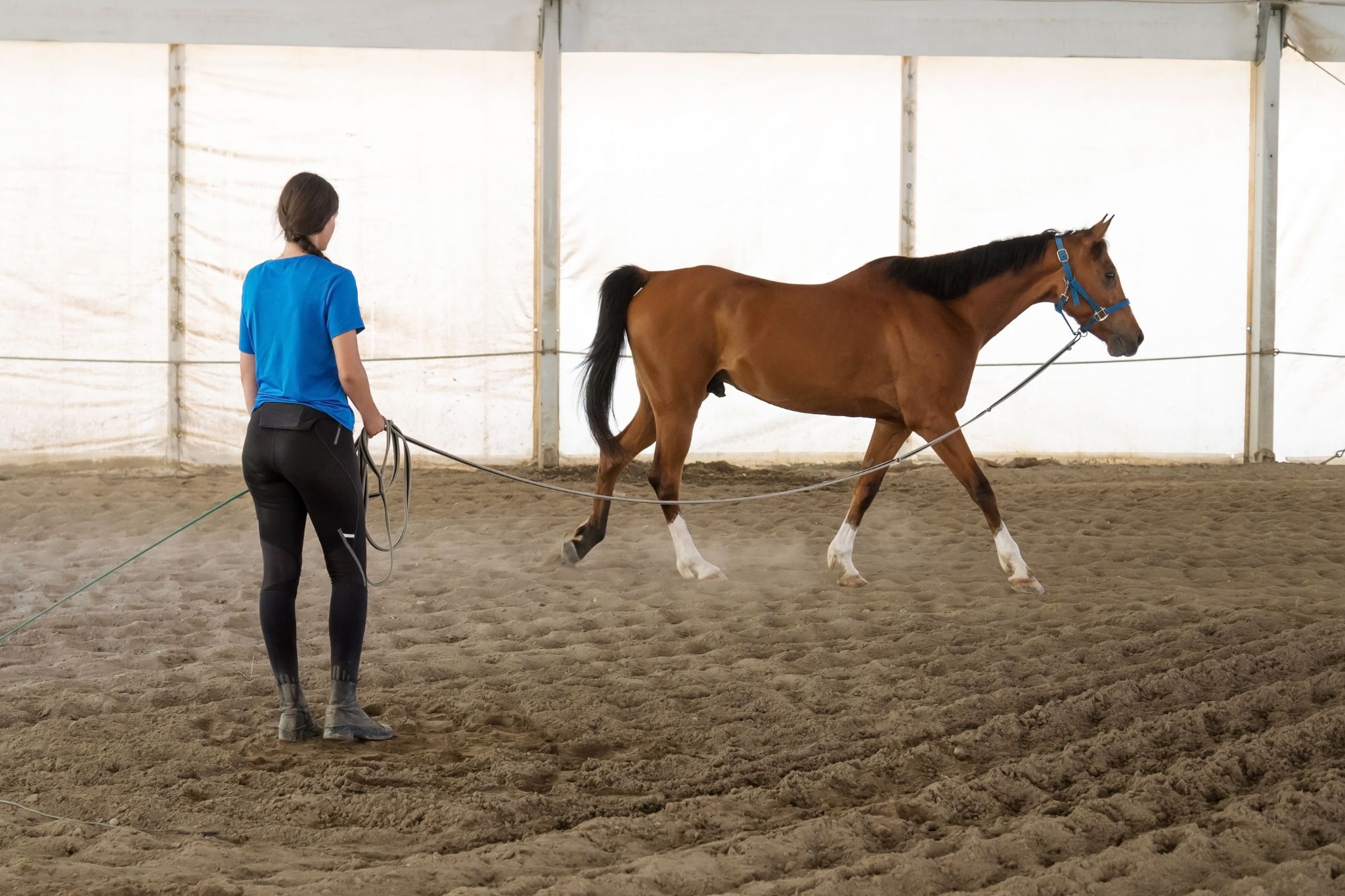 Get Pumped! Horse Conditioning Just Got Easier - Horse Rookie