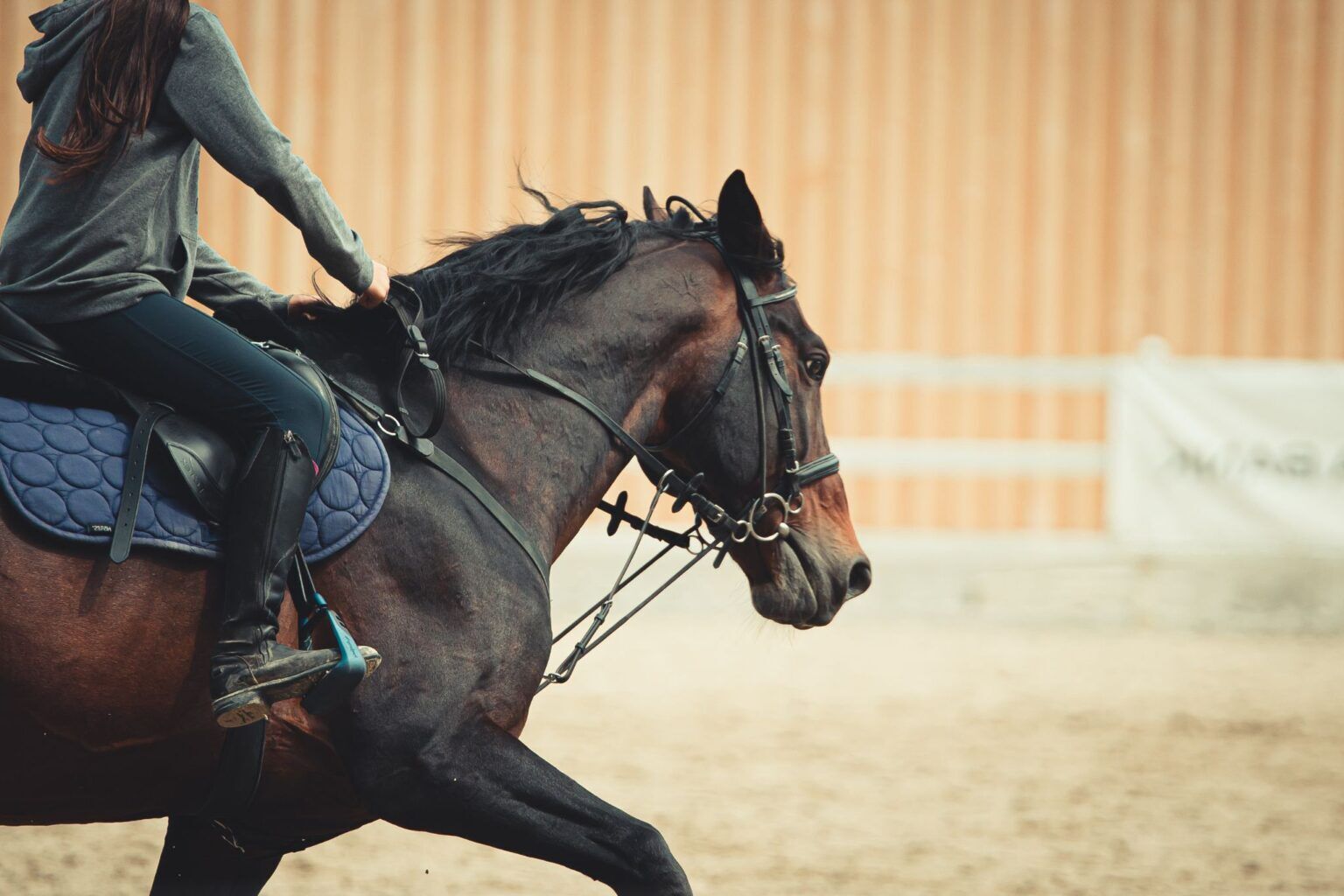 What to Do When Your Horse Ride Goes Wrong - Horse Rookie