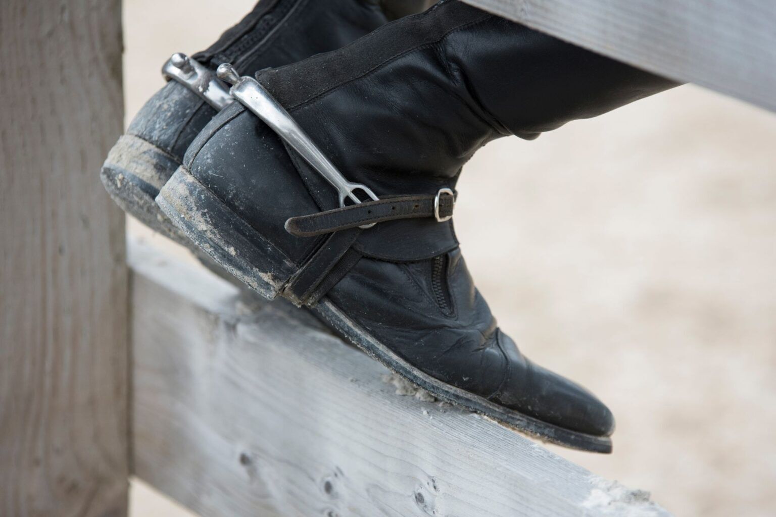 A Safe Bet: Choosing the Perfect Horse Tack & Equipment - Horse Rookie