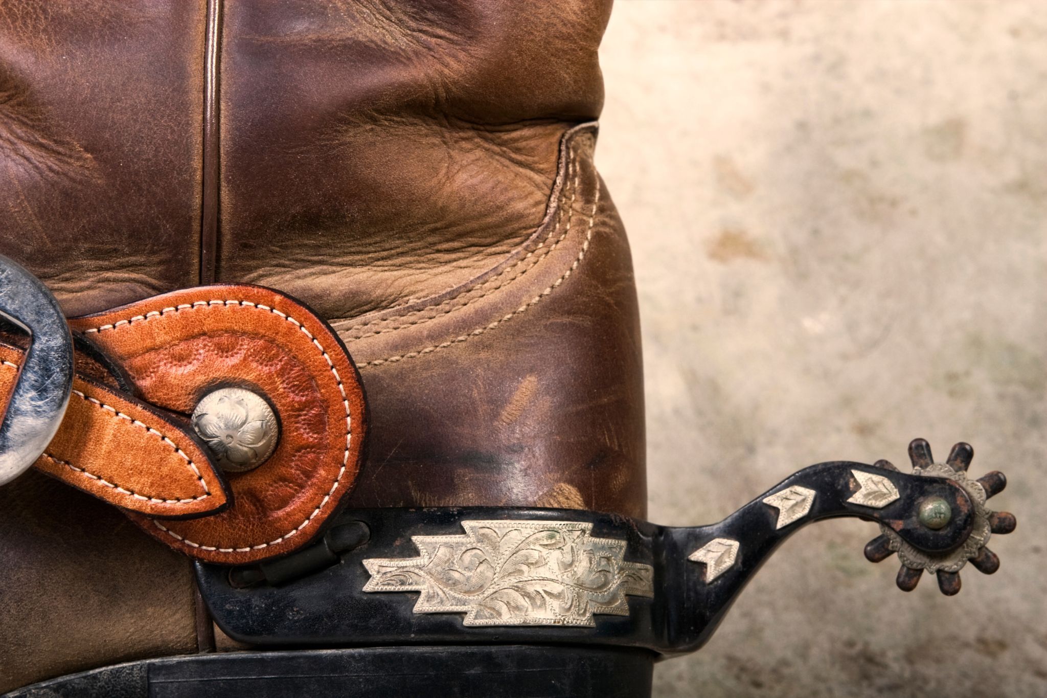 A Safe Bet: Choosing the Perfect Horse Tack & Equipment - Horse Rookie