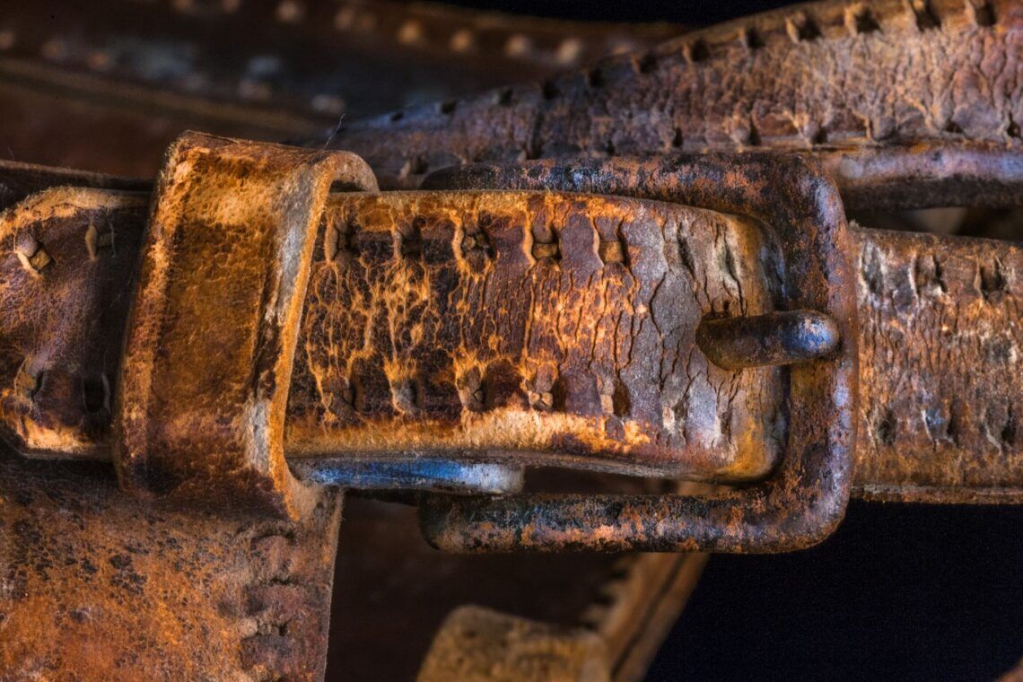 A Safe Bet: Choosing the Perfect Horse Tack & Equipment - Horse Rookie