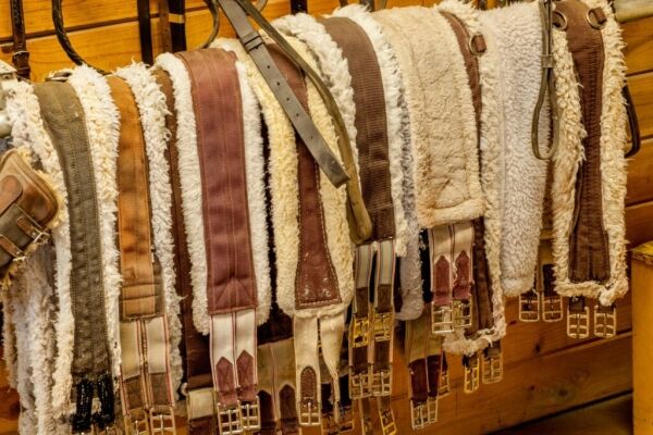 A Safe Bet: Choosing the Perfect Horse Tack & Equipment - Horse Rookie