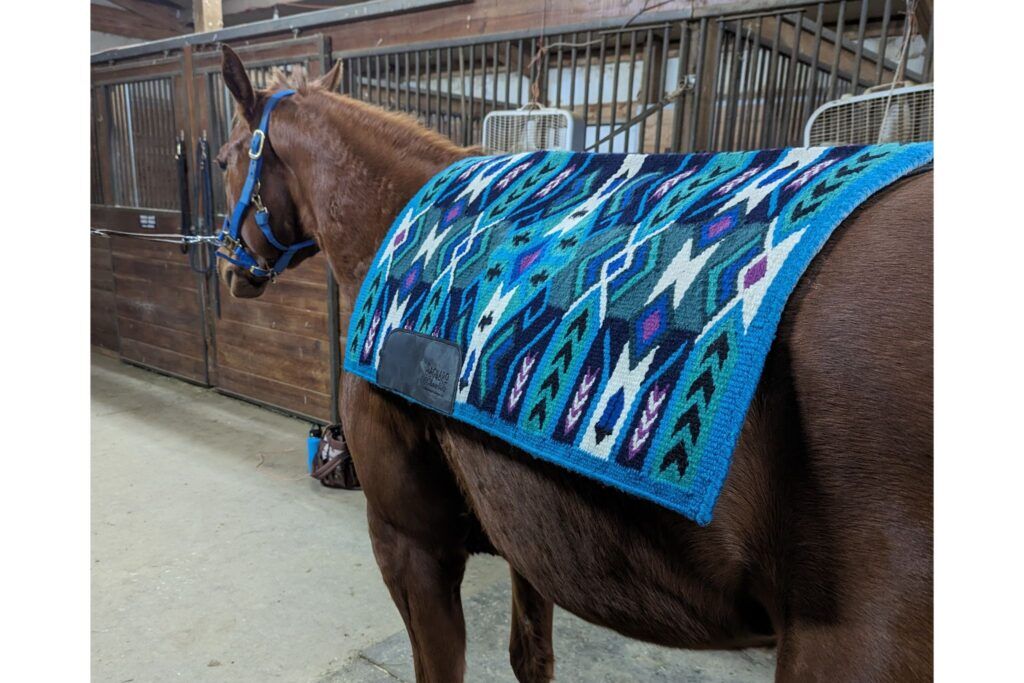 How to Pick the Perfect Western Horse Show Pad - Horse Rookie