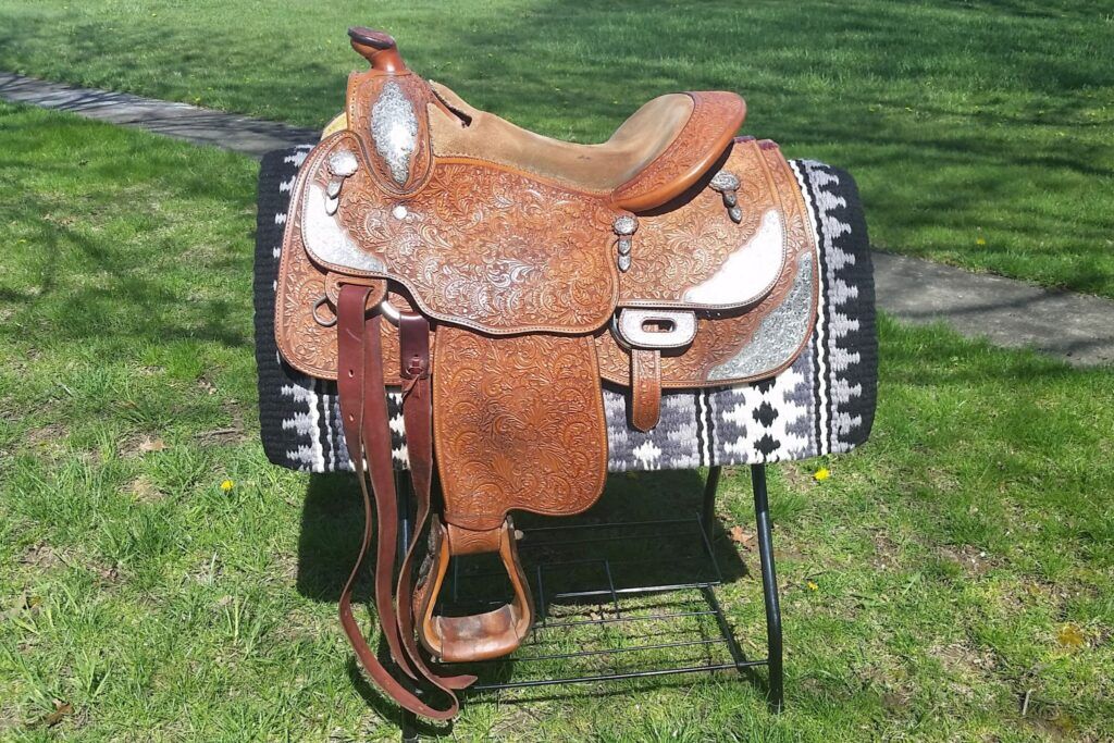 How to Pick the Perfect Western Horse Show Pad - Horse Rookie