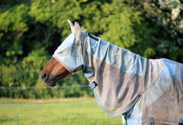 5 Best Slickers for Horseback Riding in Dry Delight - Horse Rookie
