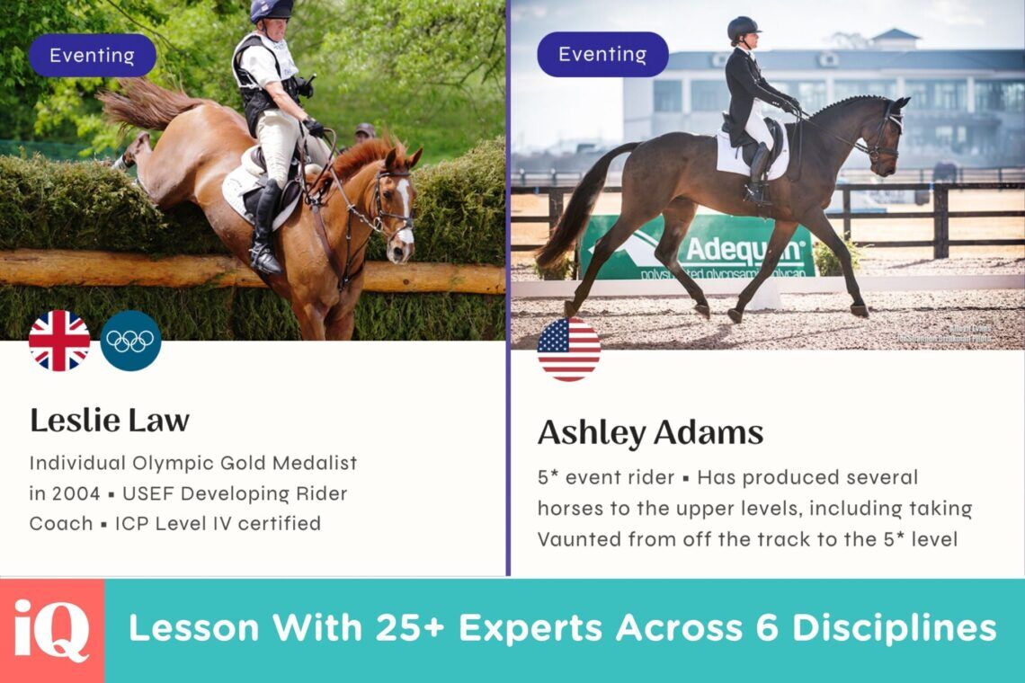 How to Get the Most Out of Virtual Horse Riding Lessons - Horse Rookie