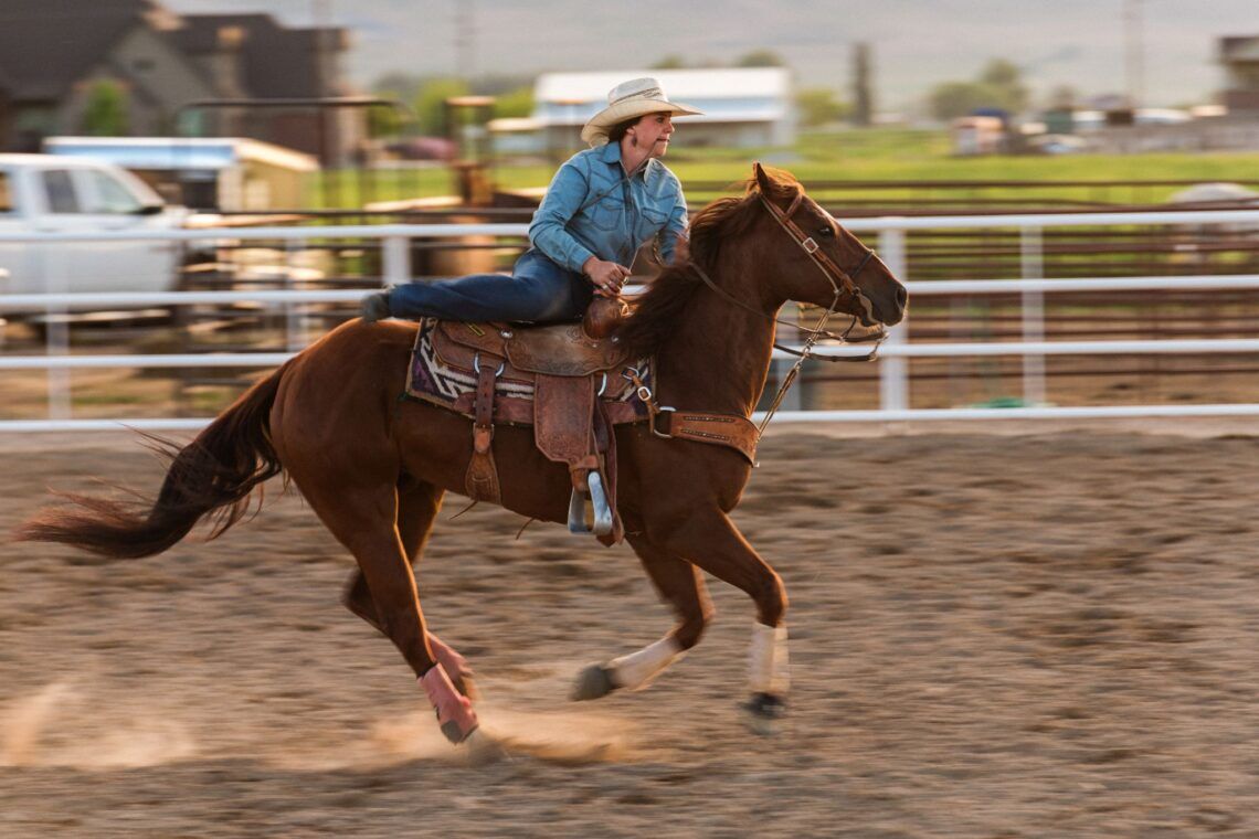 Horse Riding 101: How to Stay Safe in the Saddle - Horse Rookie