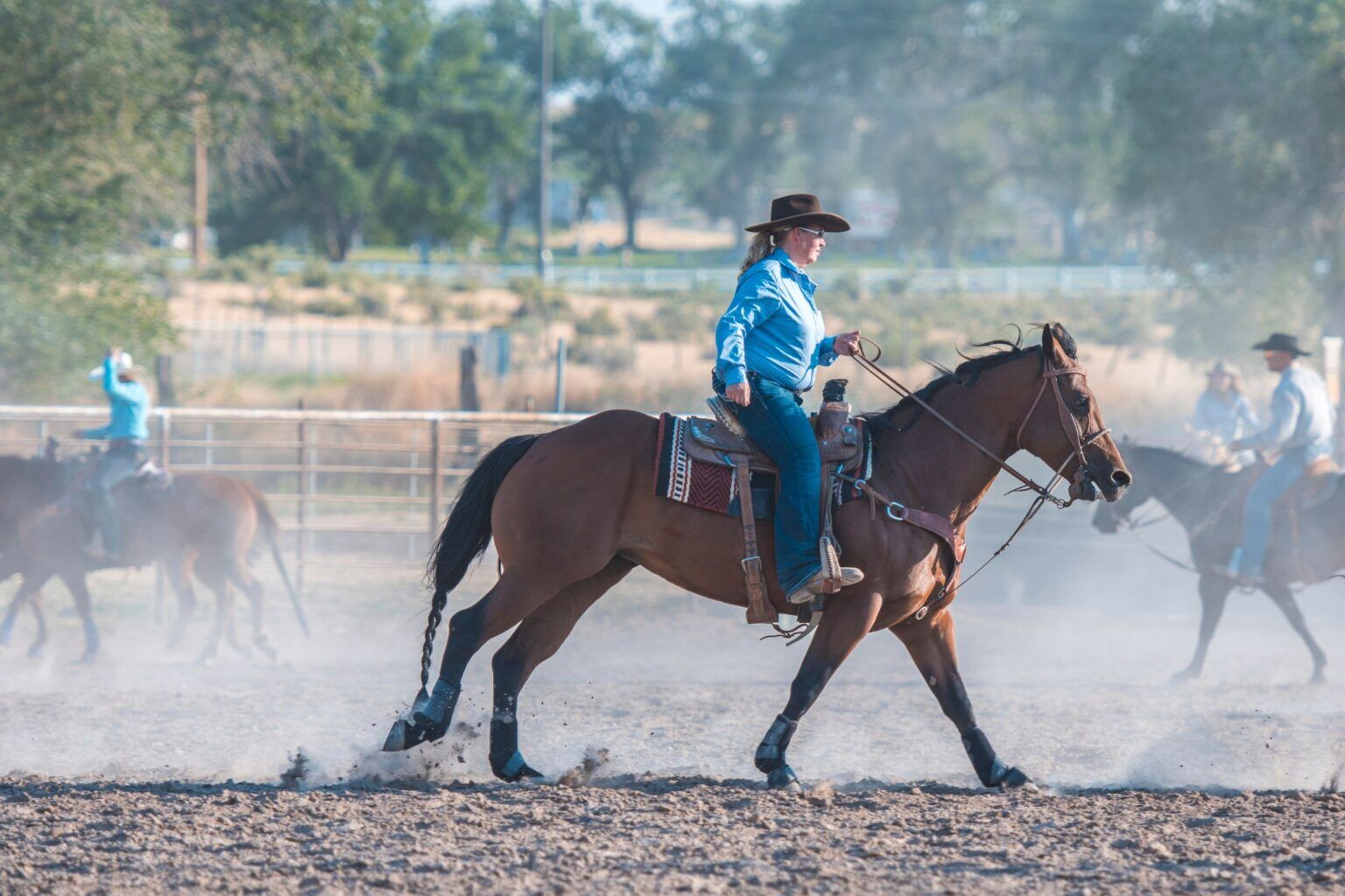 Horse Riding 101: How to Stay Safe in the Saddle - Horse Rookie