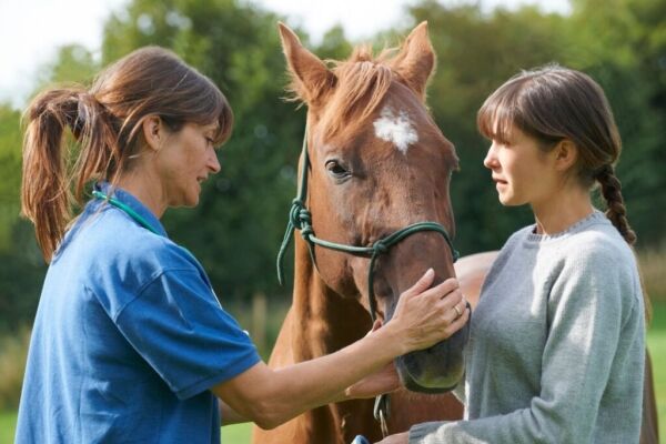 Equine Preventative Care: How to Head Off Horse Issues Early - Horse Rookie
