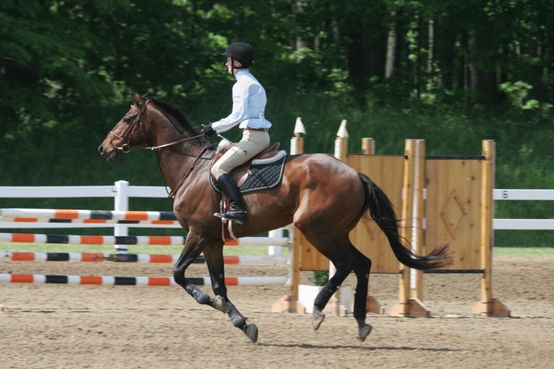 A Horse Rookie's Guide to the Show Jumping Course Walk - Horse Rookie