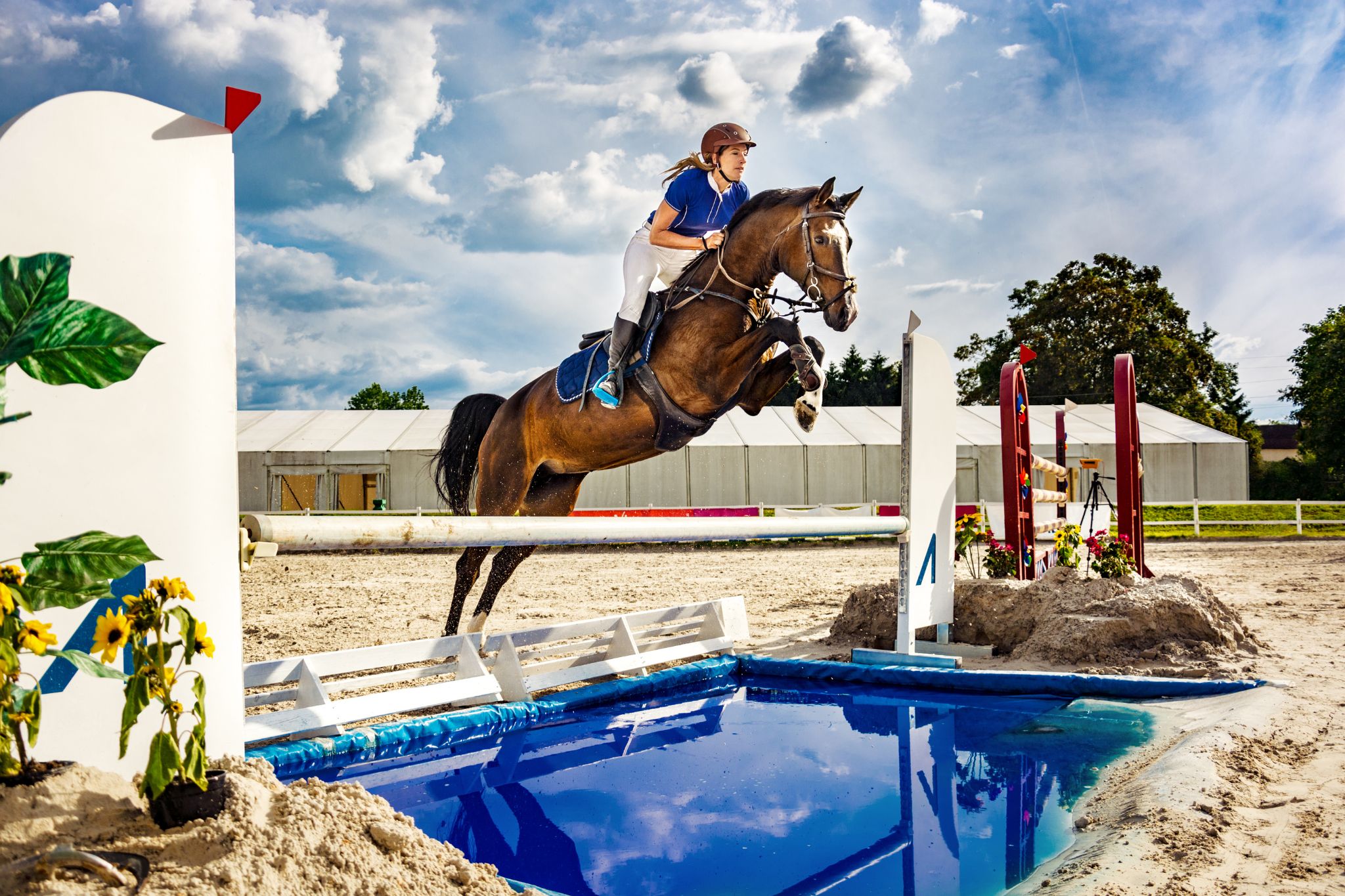 Inside Look: Horse Show Jumping Course Design and Strategy - Horse Rookie