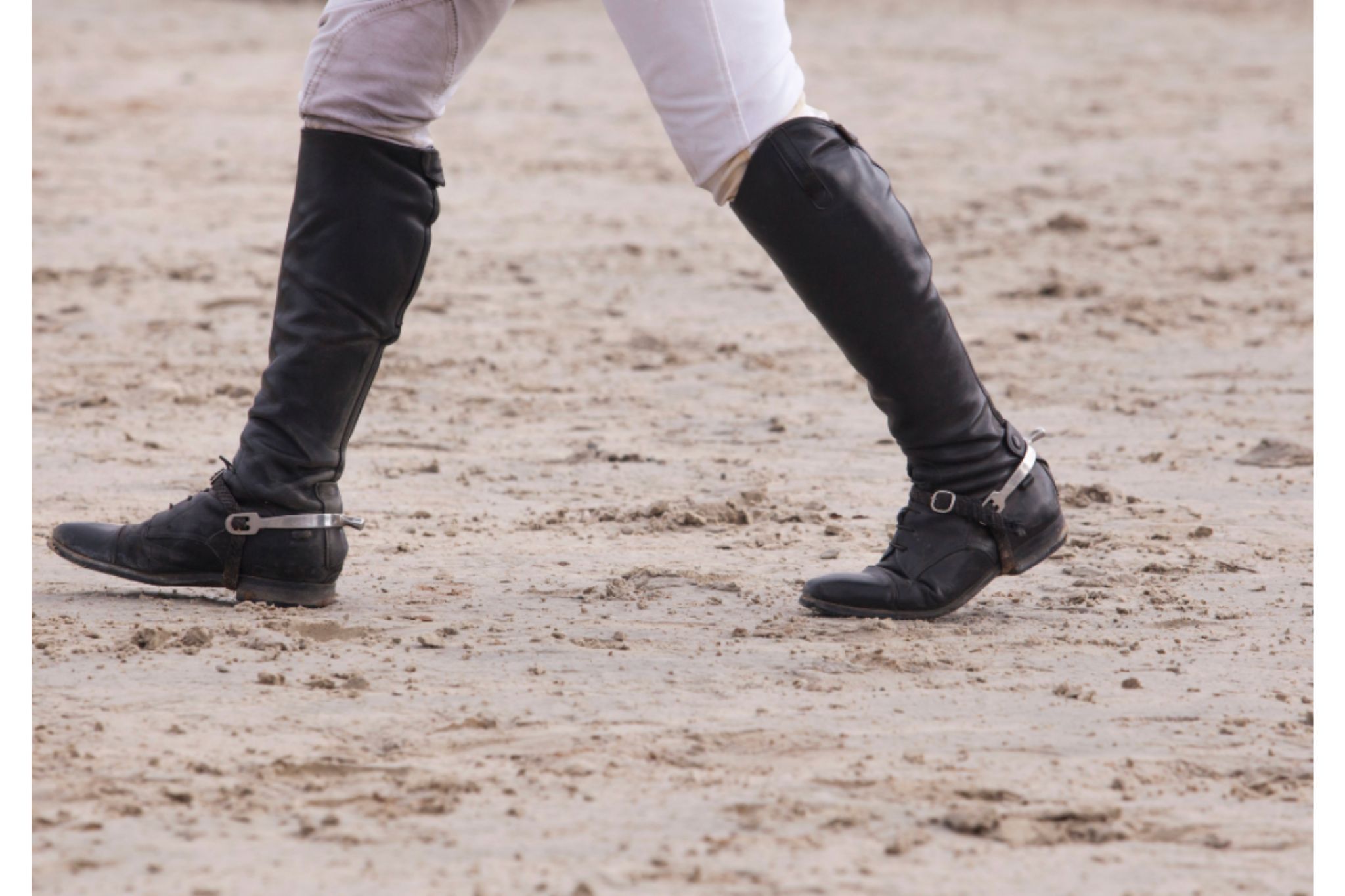 A Horse Rookie's Guide to the Show Jumping Course Walk - Horse Rookie