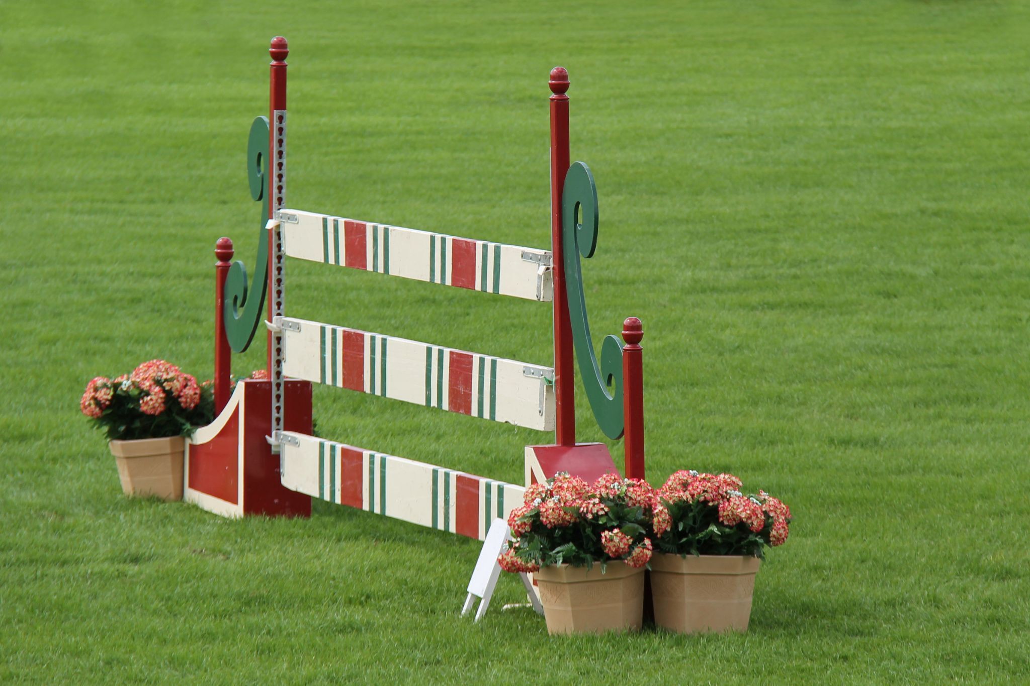 A Horse Rookie's Guide to the Show Jumping Course Walk - Horse Rookie