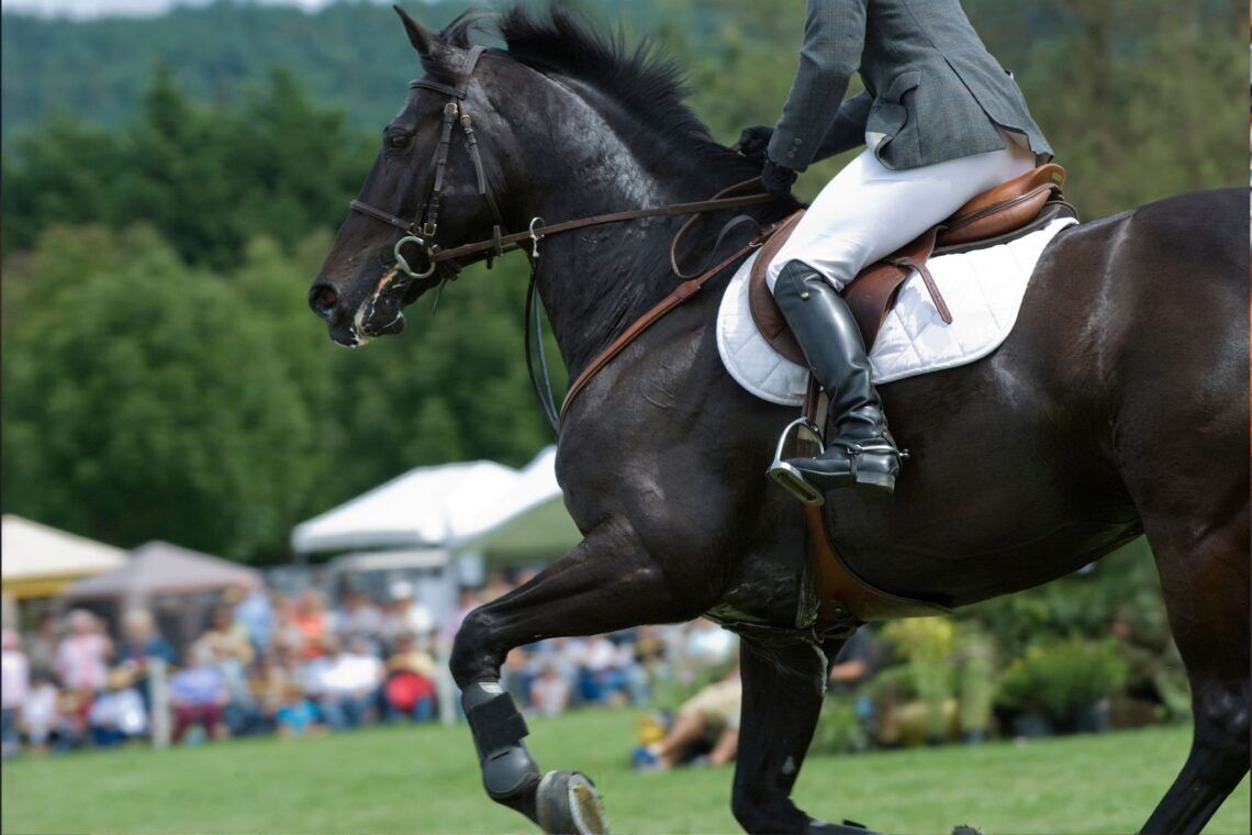 A Horse Rookie's Guide to the Show Jumping Course Walk - Horse Rookie