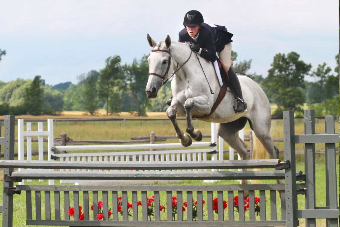 Inside Look: Horse Show Jumping Course Design and Strategy - Horse Rookie