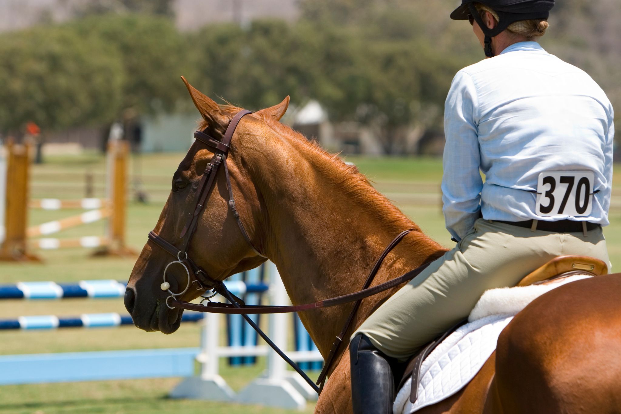 Inside Look: Horse Show Jumping Course Design and Strategy - Horse Rookie