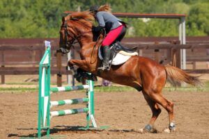 Inside Look: Horse Show Jumping Course Design and Strategy - Horse Rookie