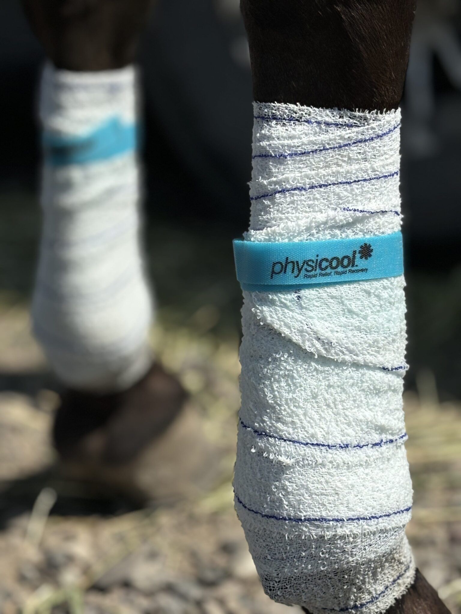 Road Testing Equi-N-icE Reusable Cooling Bandages - Horse Rookie